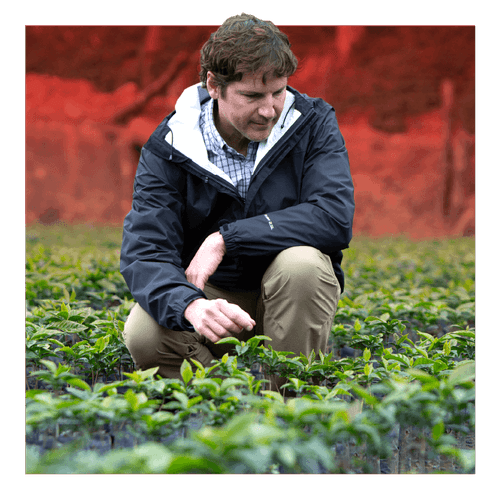 Community Coffee | #1 Family-Owned Retail Coffee Brand in America