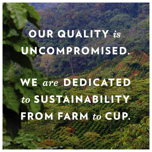 Military Match Gift Box - Coffee & Chicory | Community Coffee